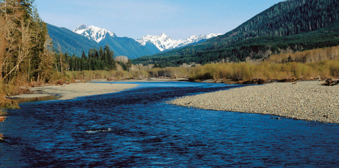 Three More Properties Conserved on the Hoh River - Western Rivers ...