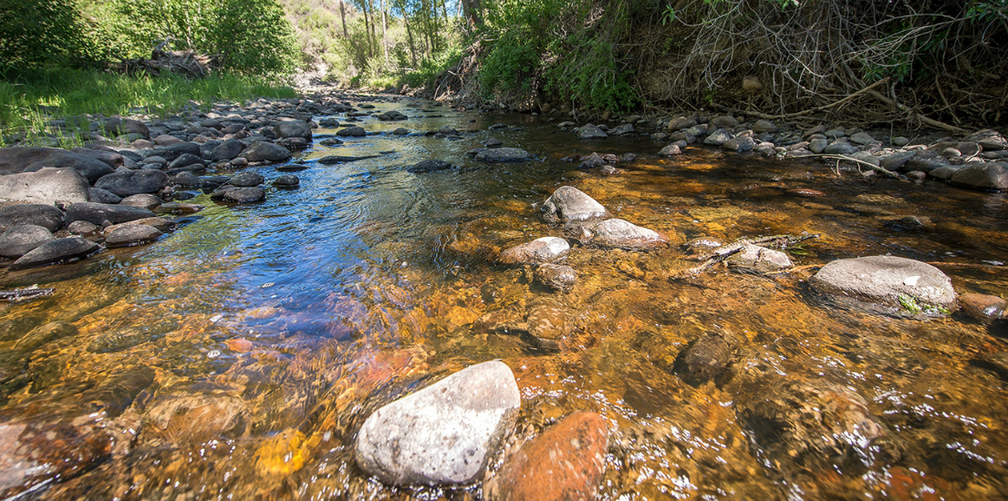 Returning Flows to a Prized Colorado Trout Stream - Western Rivers ...