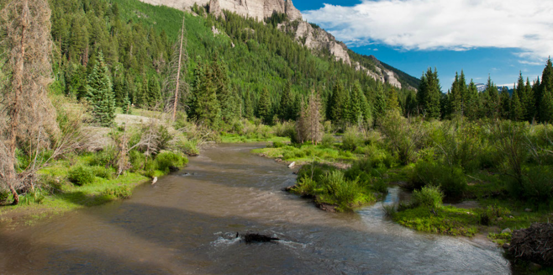 Protecting a Gold Medal Trout Fishery along the Little Cimarron ...