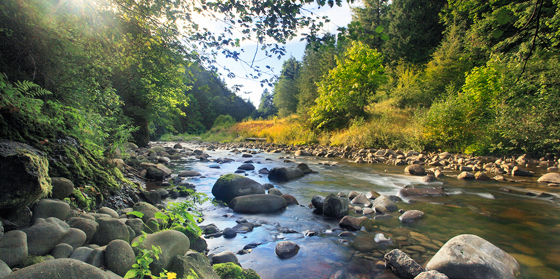 Conserved: Little Joe Creek on the Sandy River - Western Rivers Conservancy