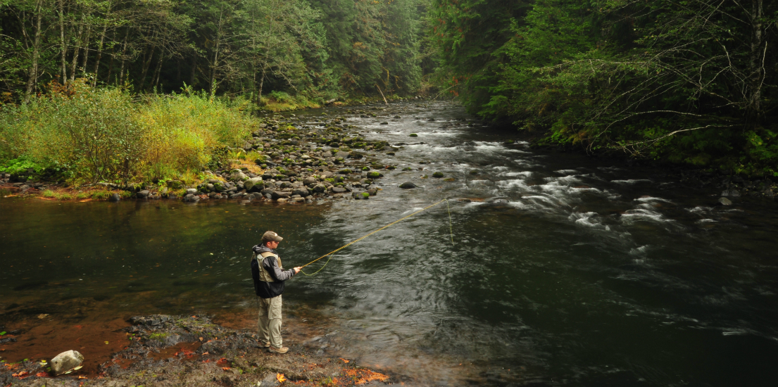 Conserving Land at the Heart of the Sandy River Basin Salmon and ...
