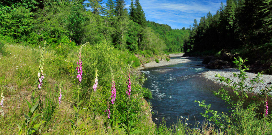 Sandy River Frontage Preserved in the Heart of our Project Area ...