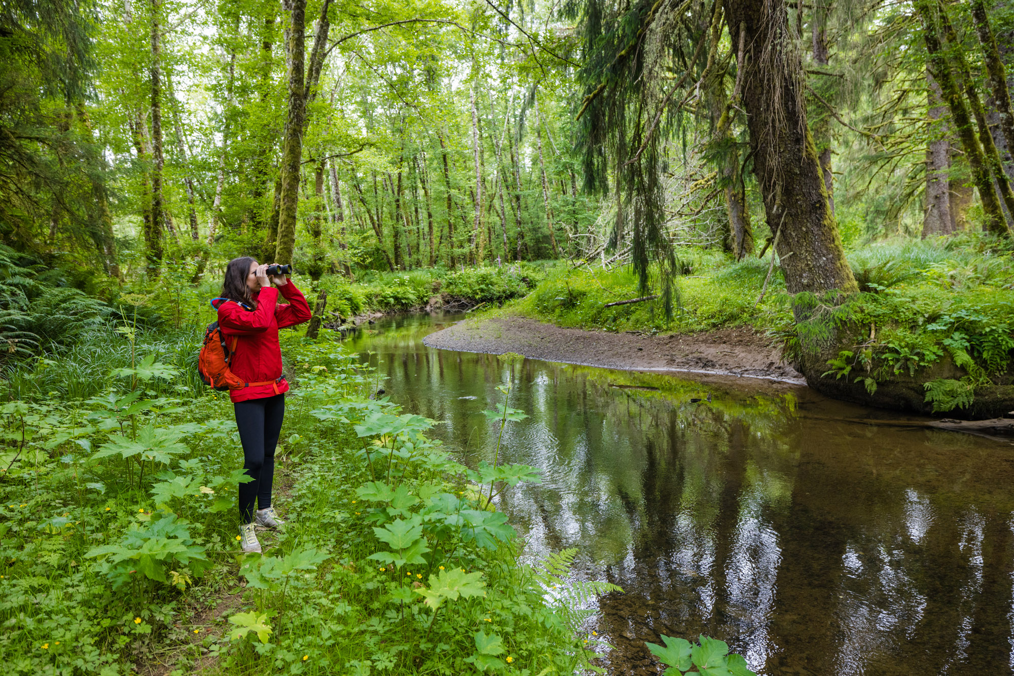 Invaluable salmon streams protected at Willapa Bay with addition of ...