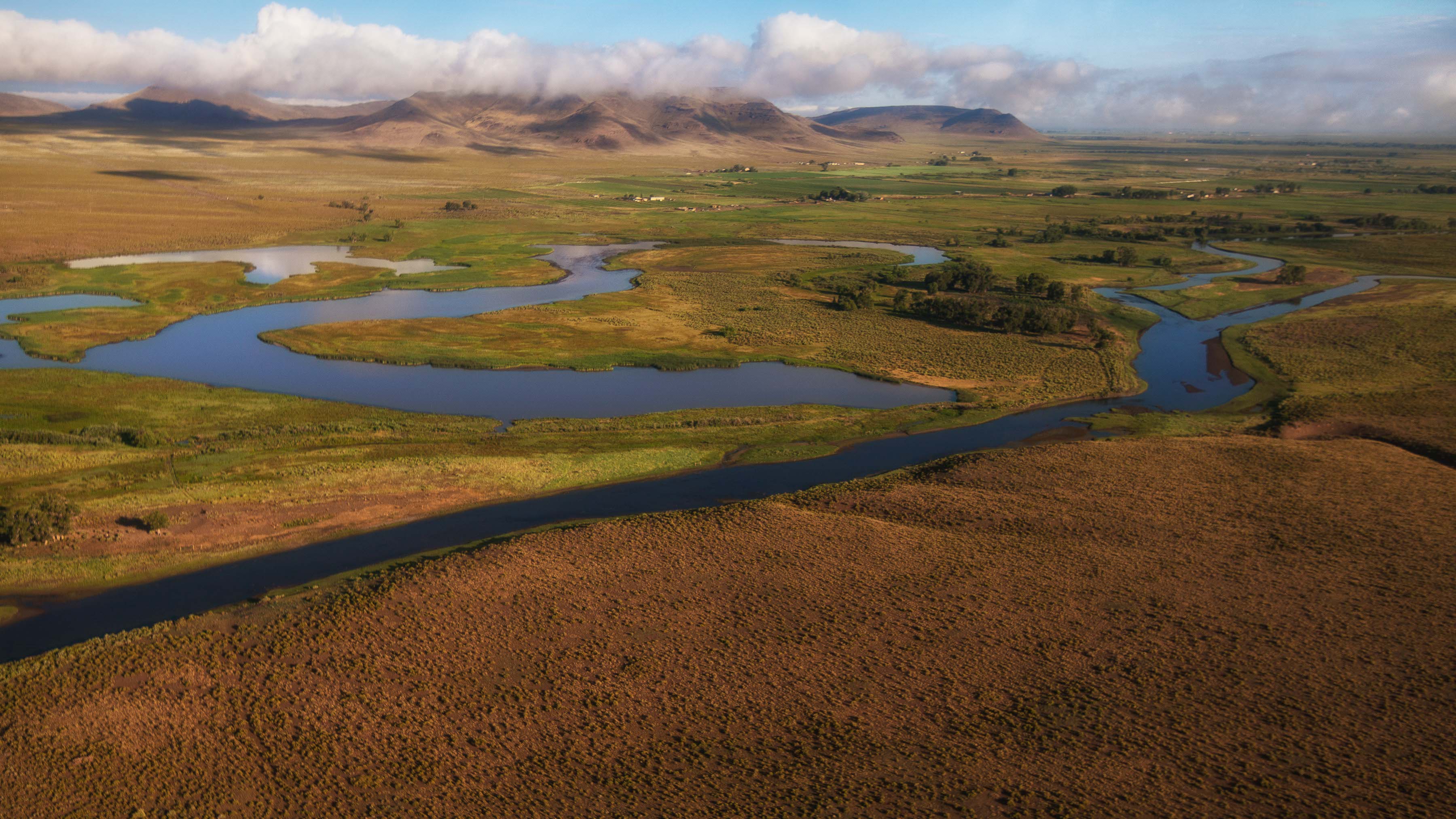 Share Your Comments About WRC - Western Rivers Conservancy