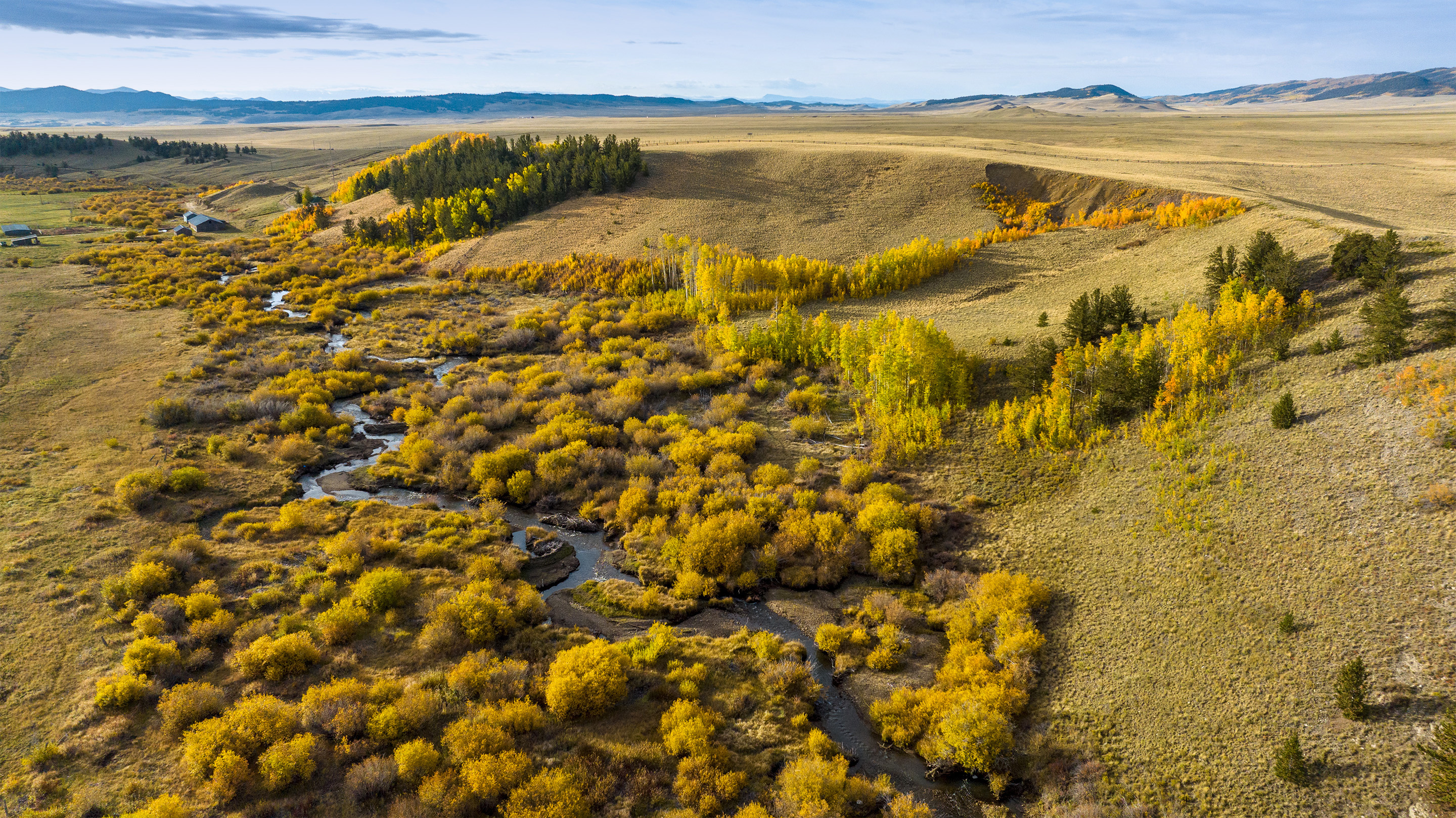 Collard Ranch on Tarryall Creek has been permanently conserved and will ...