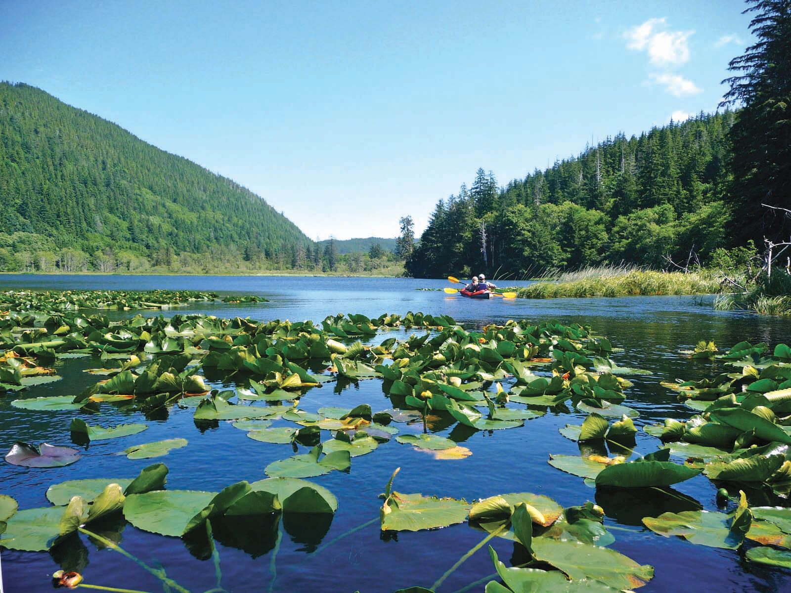 Key Wildlife Area Conserved on Beaver Creek - Western Rivers Conservancy