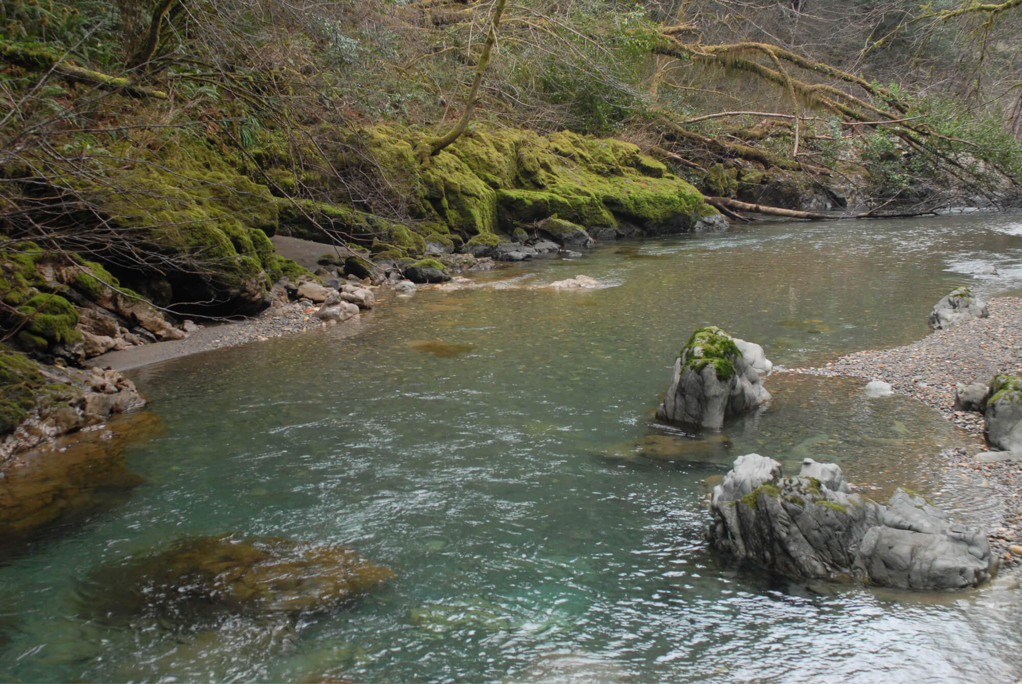 Important Stretch of the Winchuck River Protected - Western Rivers ...