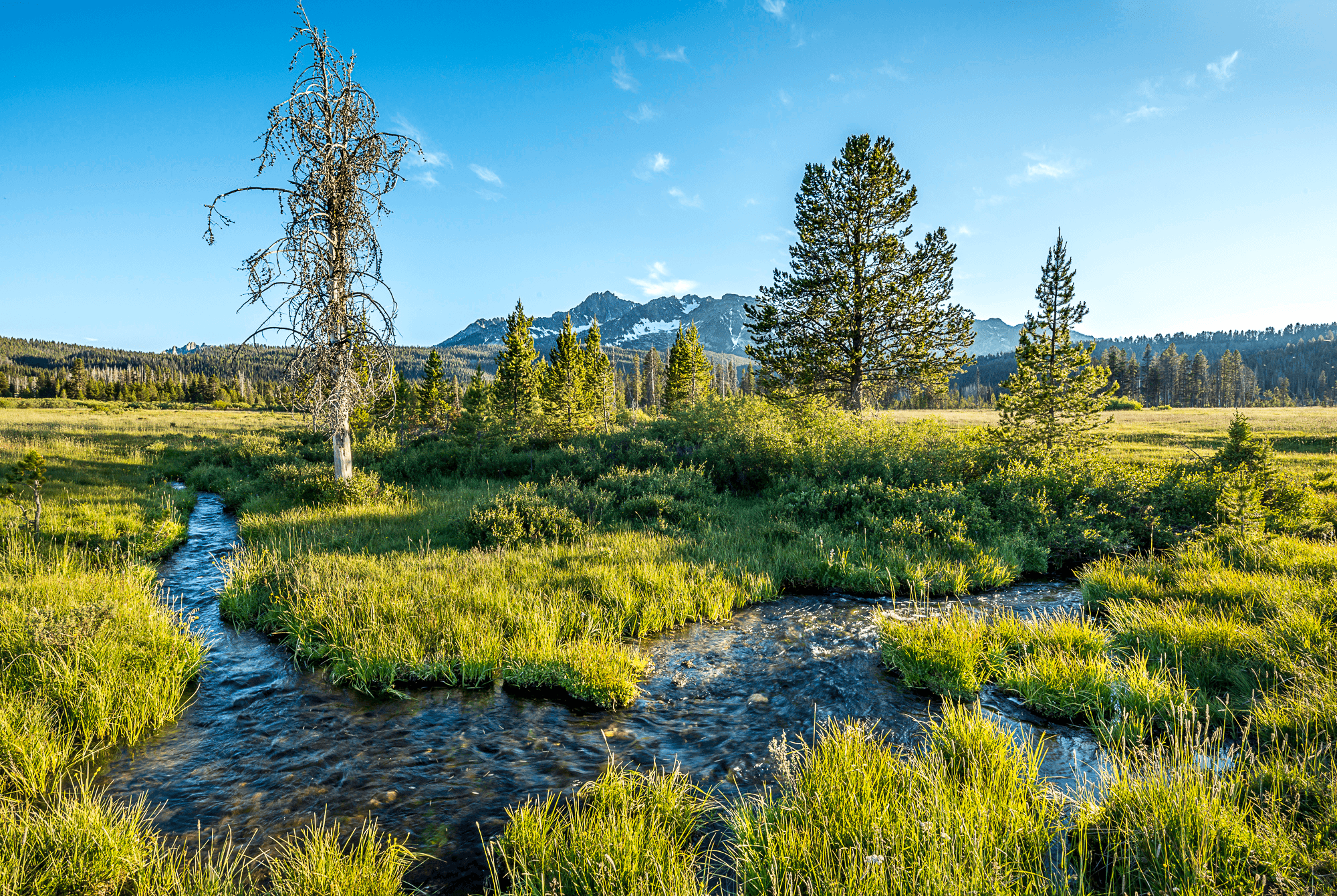 Idaho - Western Rivers Conservancy