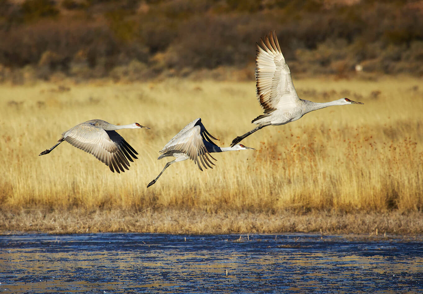 Our Impact - Western Rivers Conservancy