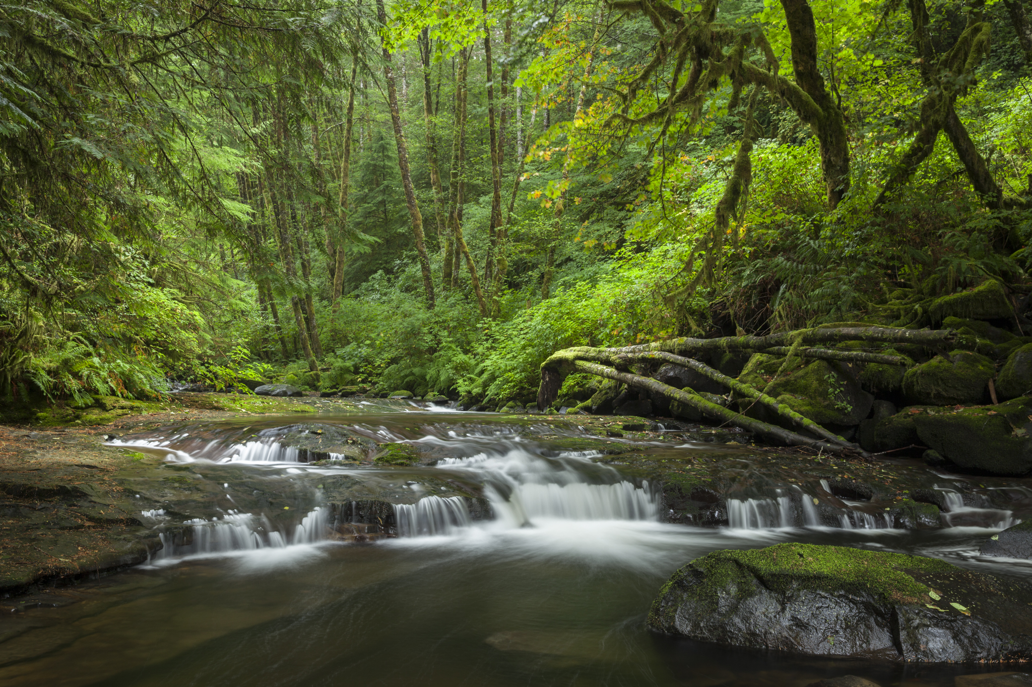 Siuslaw River - Western Rivers Conservancy